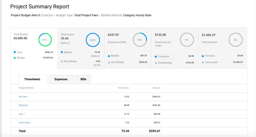 Project Summary Report - Avaza Support