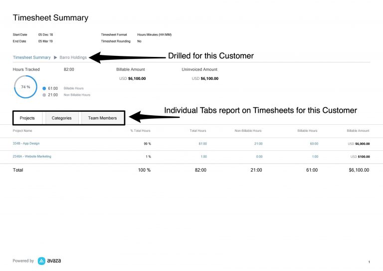 Timesheet Summary Report - Avaza Support